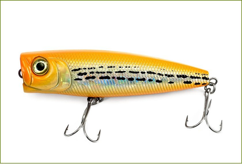 Les poppers et les poissons nageurs - Maison de la pêche du Luxembourg